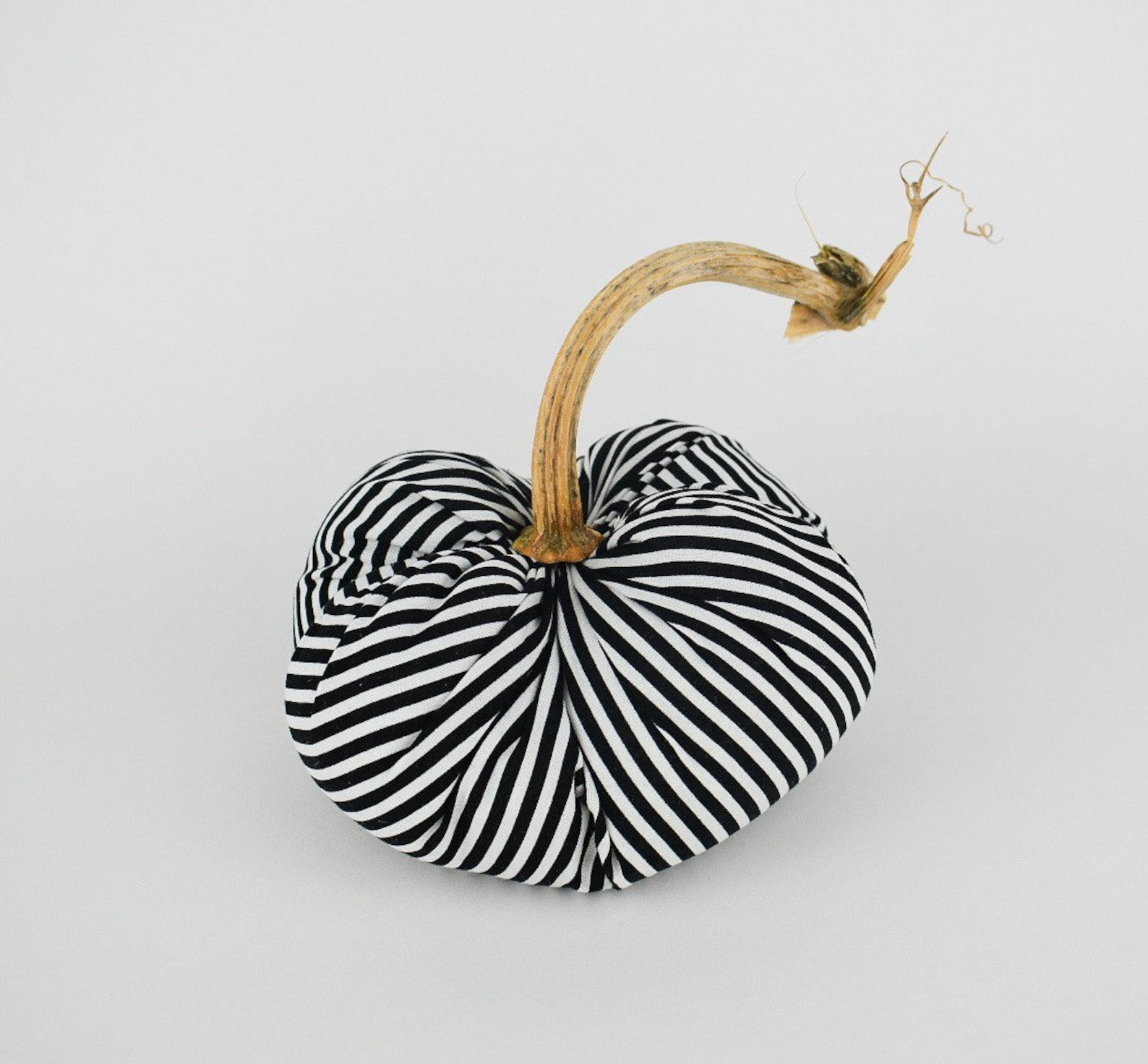 Black and White Striped Pumpkin with a Real Stem | Etsy