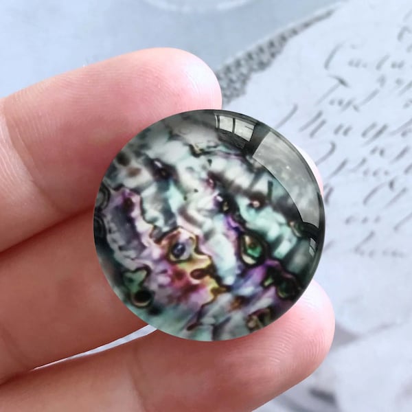 Purple Shell Earrings - Etsy