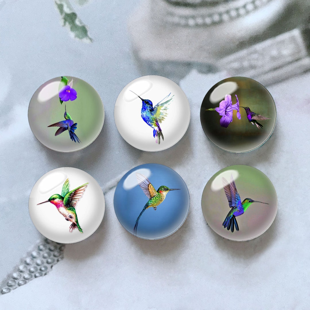 10pcs 10mm 12mm Hummingbird Cabochon, Blue Birds Glass Dome, 14mm 16mm 18mm 20mm 25mm 30mm 35mm ...