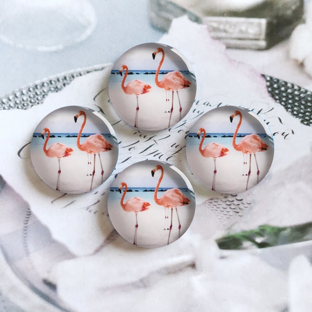 Flamingo Cabochon / Picture Glass Snap Button,10mm 12mm 14mm 16mm 18mm ...