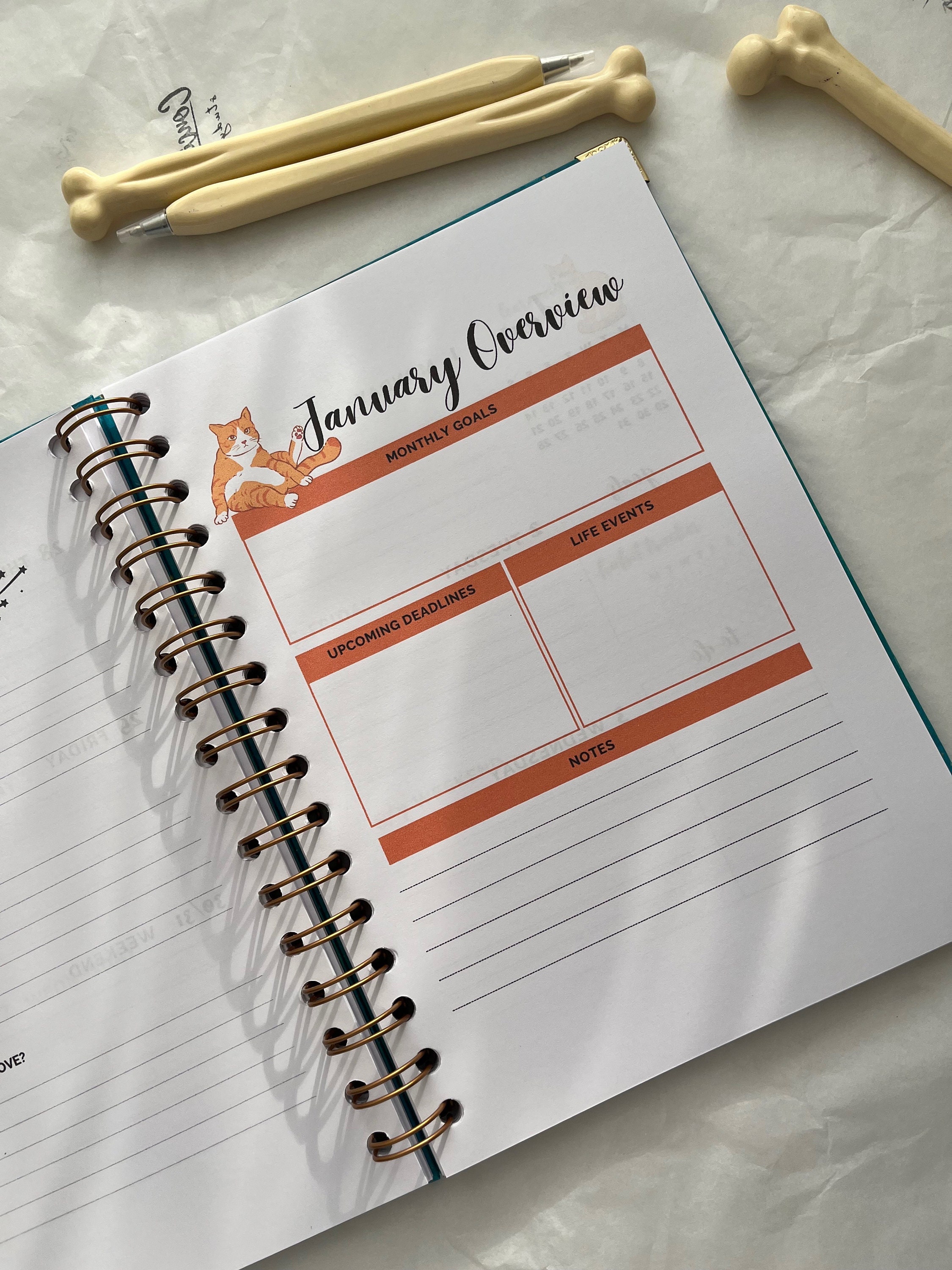 Student Vet Planner Sept 2024- Aug 2025 Dated Week-to-view A5 Academic ...