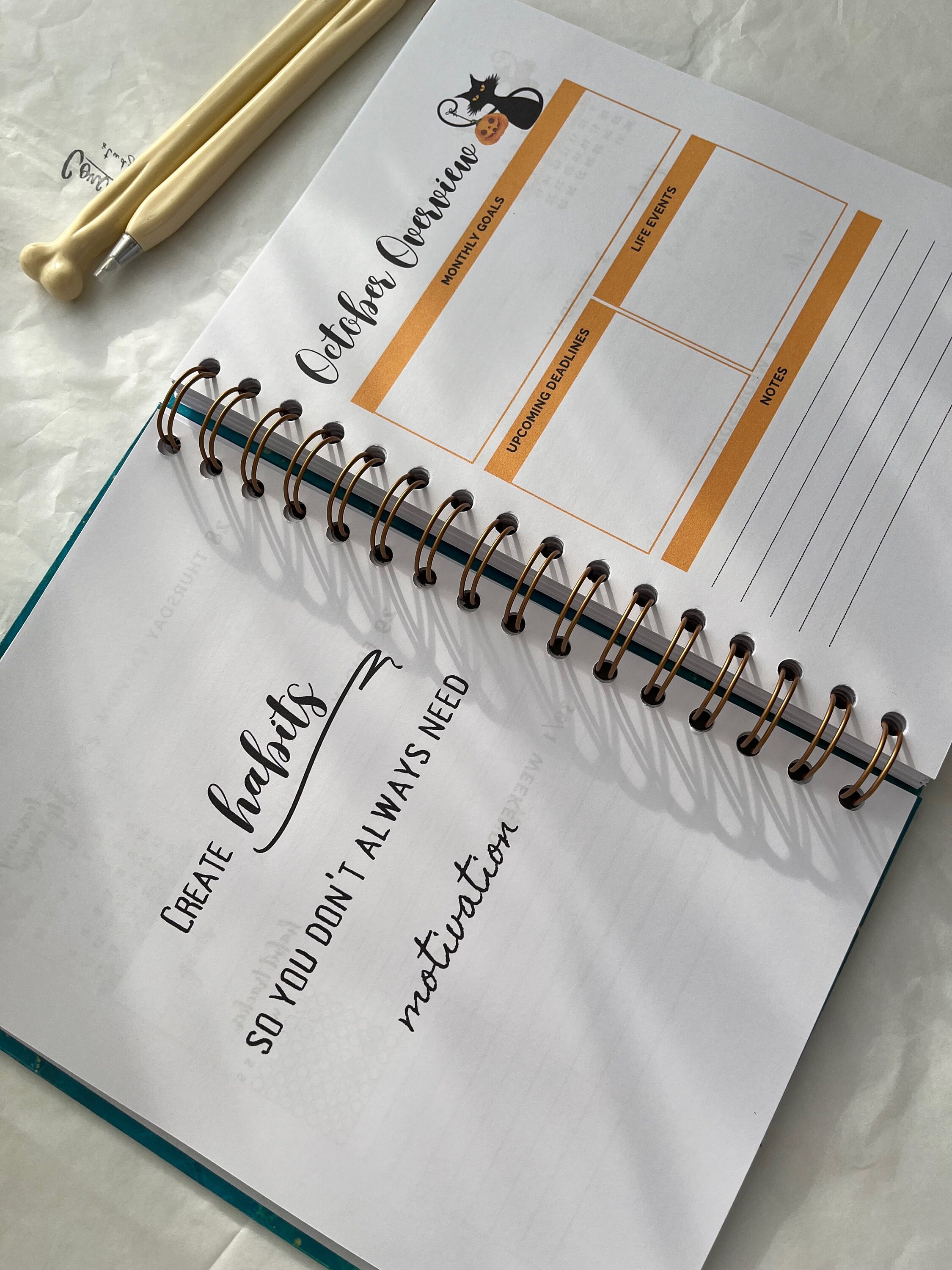 Student Vet Planner Sept 2024- Aug 2025 Dated Week-to-view A5 Academic ...
