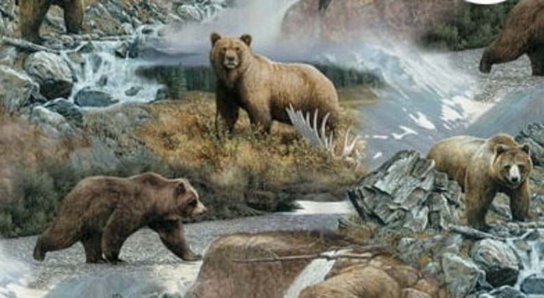 Valance Make With David Textiles Bears Material . 8” Curtain With ...