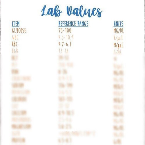 Lab Values Reference Sheet// Nursing School Notes - Etsy