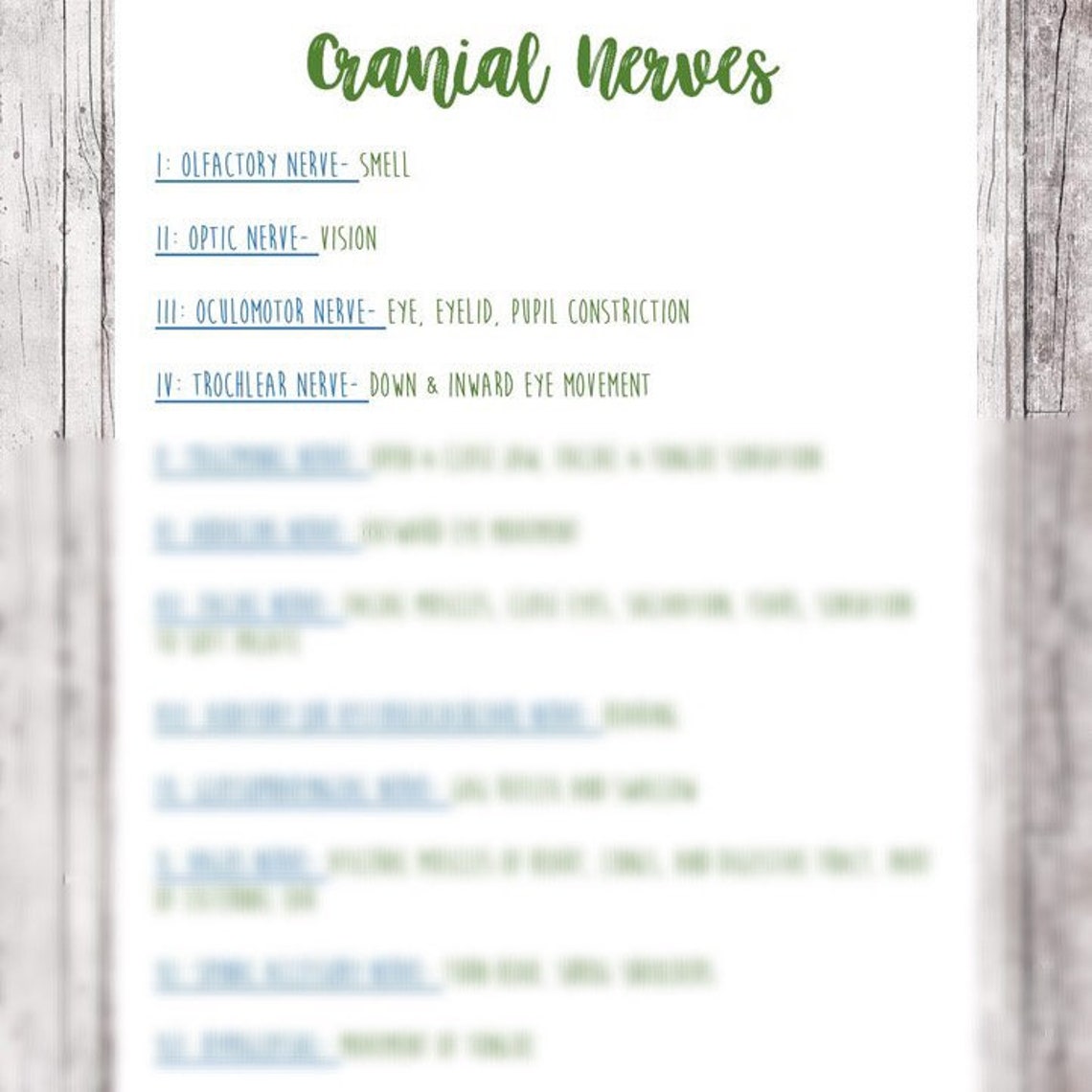 12 Cranial Nerves Nursing Reference Sheet // Nursing School Notes - Etsy