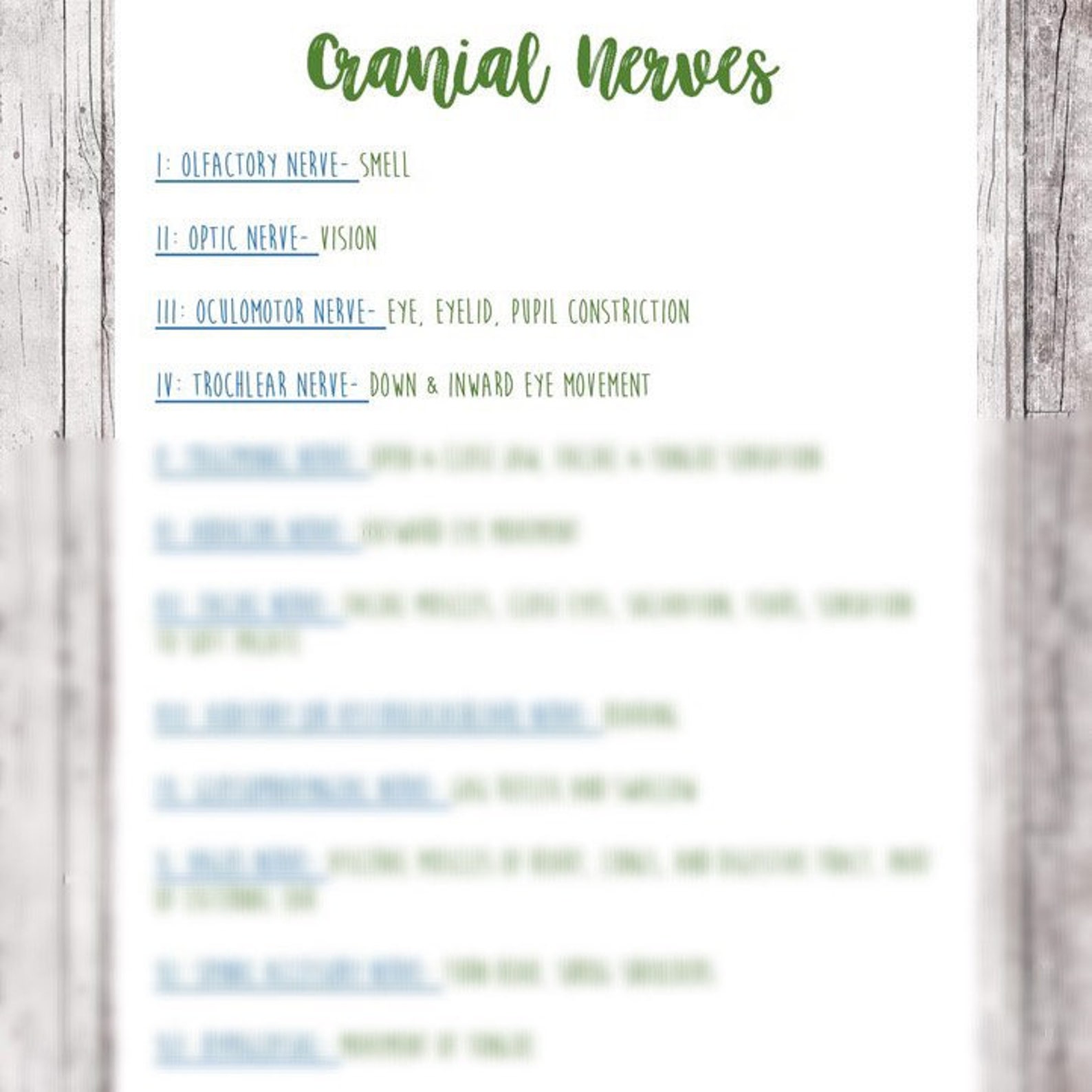 12 Cranial Nerves Nursing Reference Sheet // Nursing School Notes - Etsy