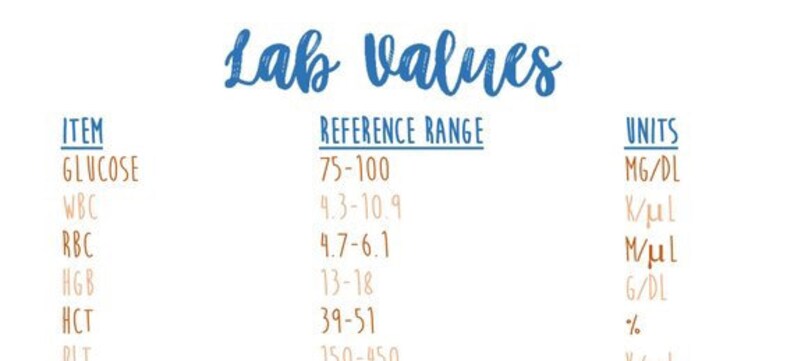 Lab Values Reference Sheet// Nursing School Notes - Etsy