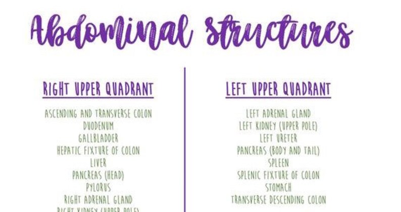 Abdominal Structures Reference Sheet // Abdominal Quadrants // Nursing ...