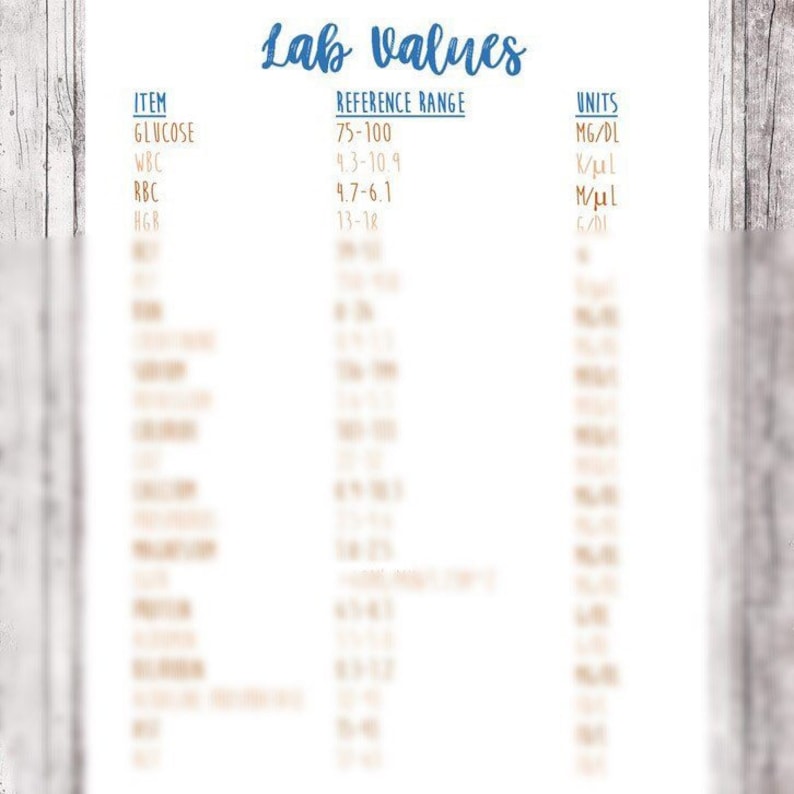 Lab Values Reference Sheet// Nursing School Notes - Etsy