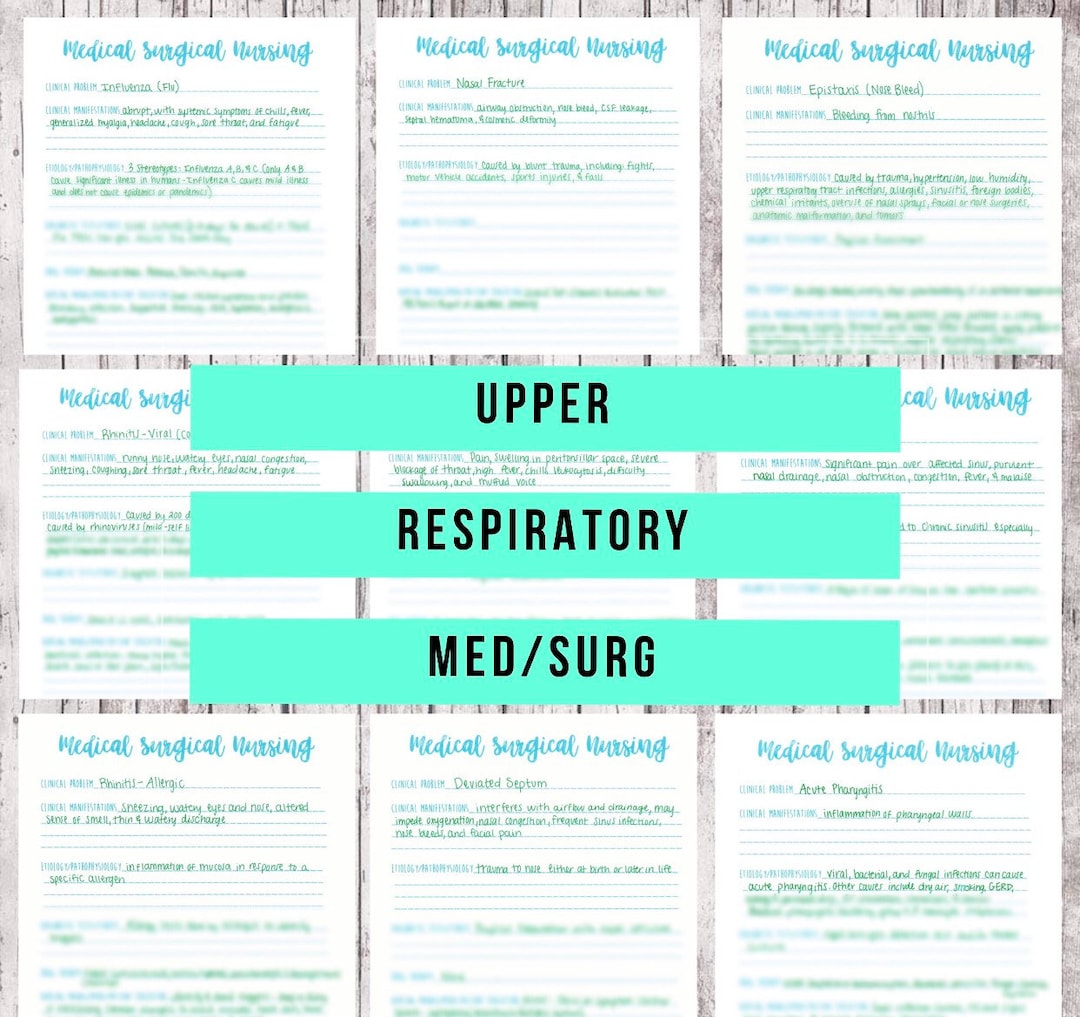 Upper Respiratory Med Surg 1 Notes // Bundle of 9 Pages- Nursing School ...