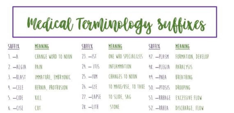 Medical Terminology Suffixes // Nursing School Medical Terminology ...