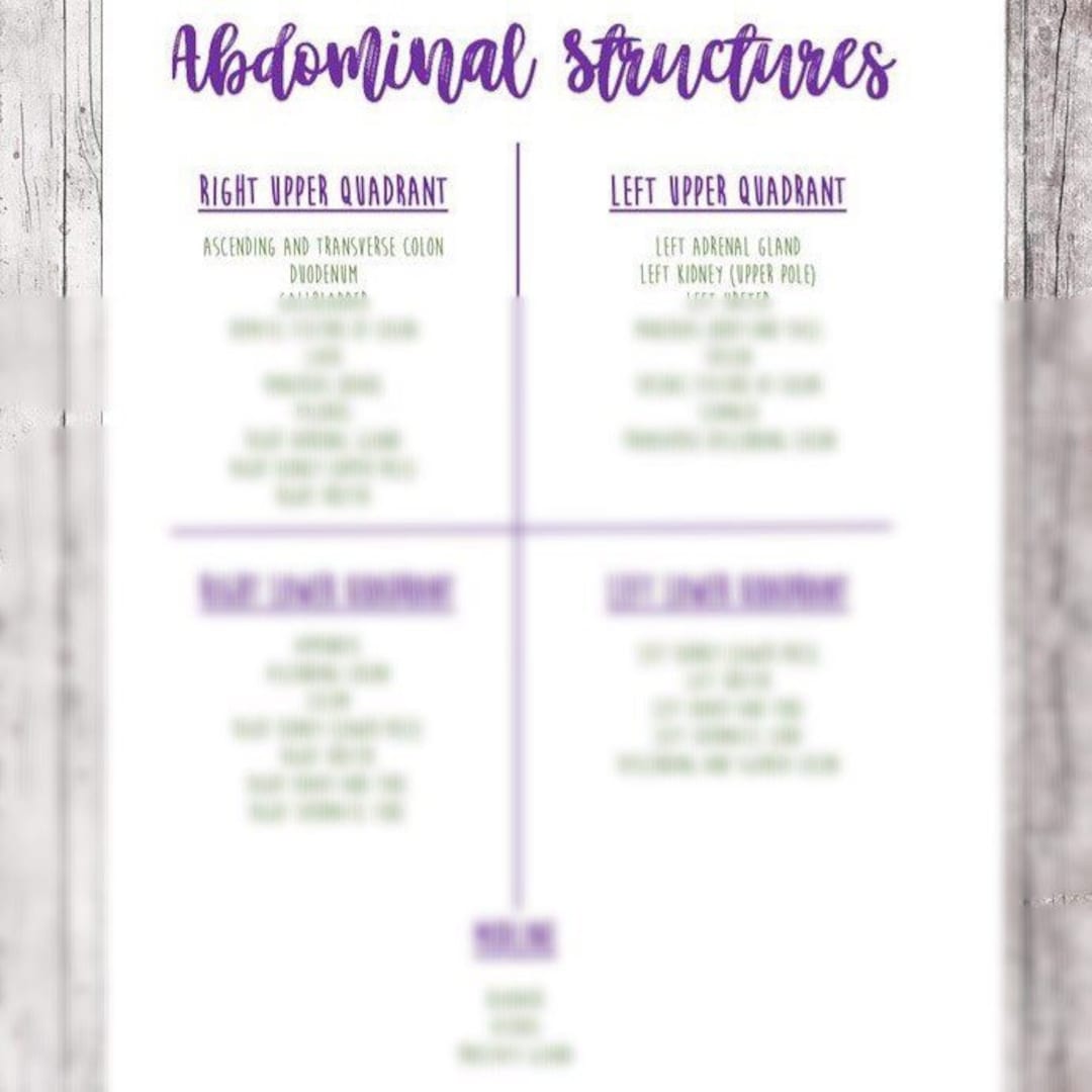 Abdominal Structures Reference Sheet // Abdominal Quadrants // Nursing ...