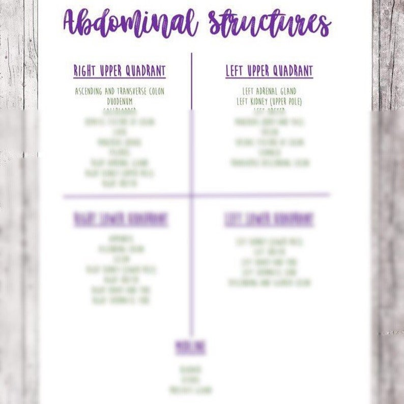 Abdominal Structures Reference Sheet // Abdominal Quadrants // Nursing ...