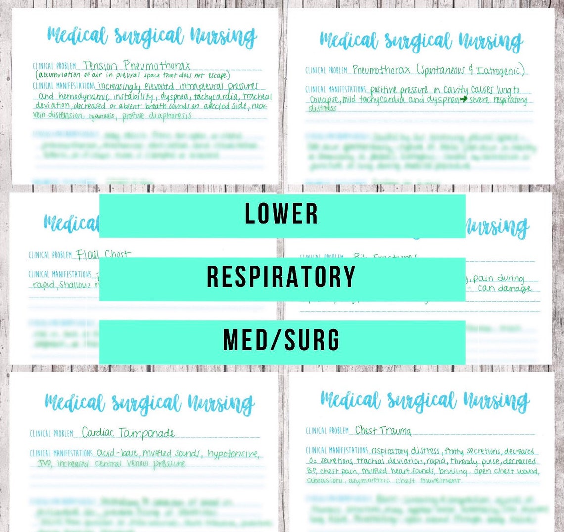 Lower Respiratory Med Surg 1 Notes // Bundle of 6 Pages Nursing School ...