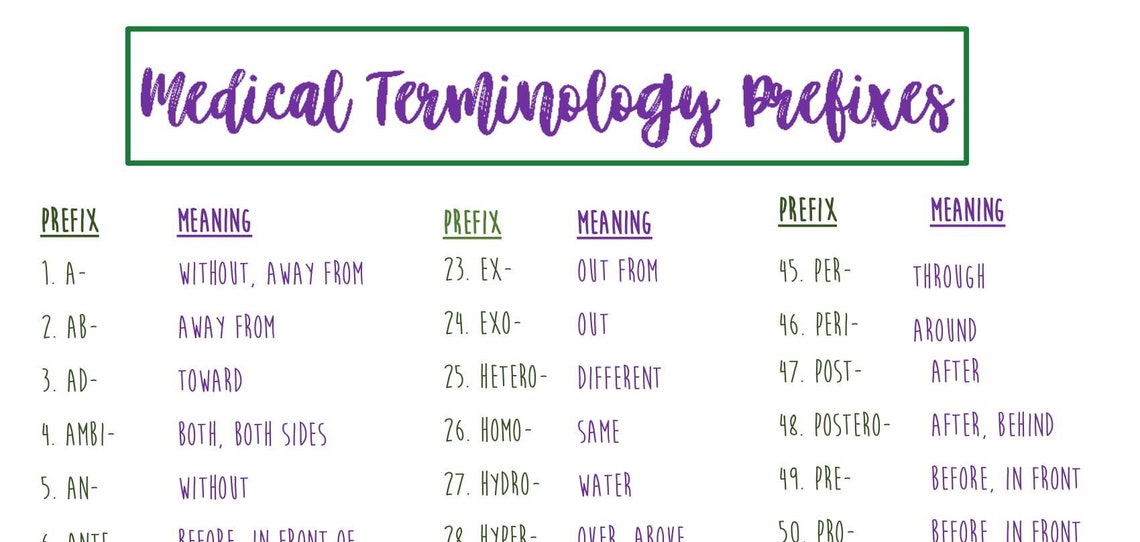 Medical Terminology Prefixes // Nursing School Medical Terminology ...