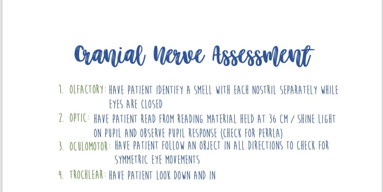 Cranial Nerve Assessment Reference Sheet // Nursing School Worksheet ...