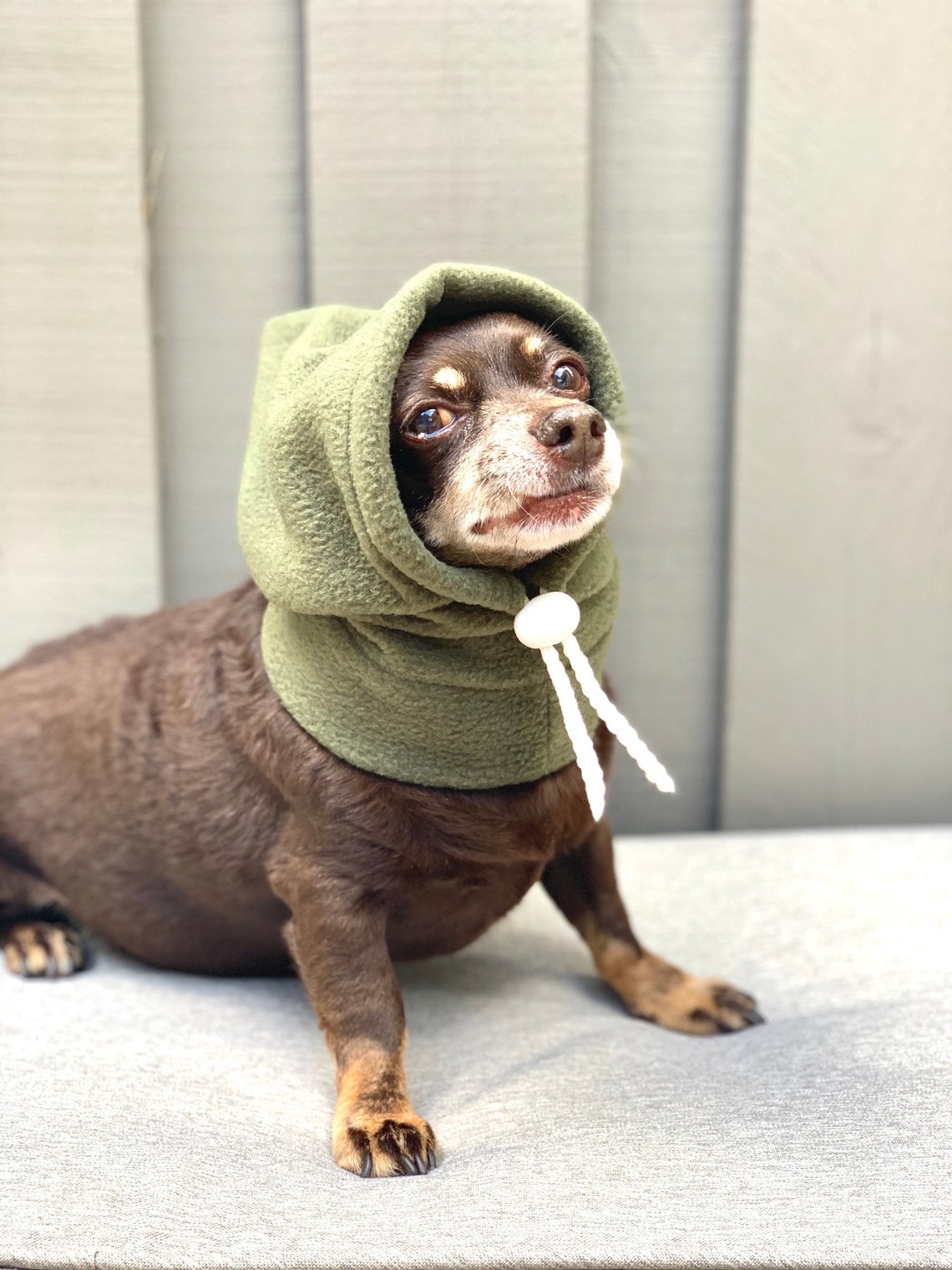 Dog Winter Hat Hat for Dogs Dog Hat Personalized Dog - Etsy