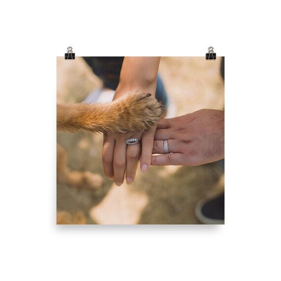 Familie Hond Posters Posters – Pet Printed NL