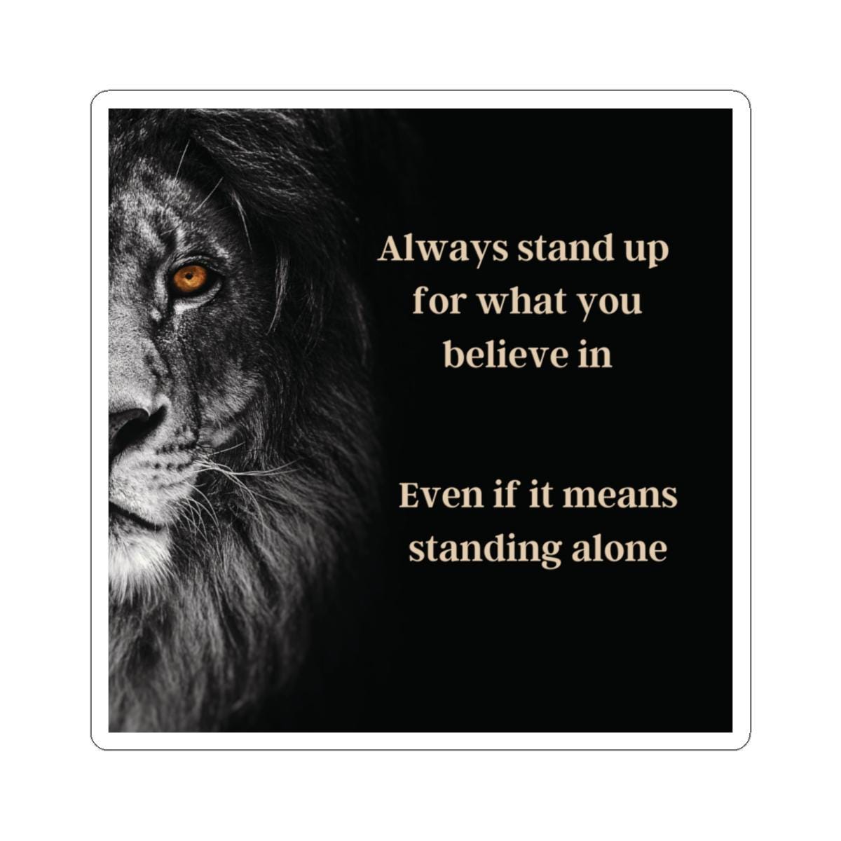 Inspirational Sticker Always Stand up for What You Believe In ...