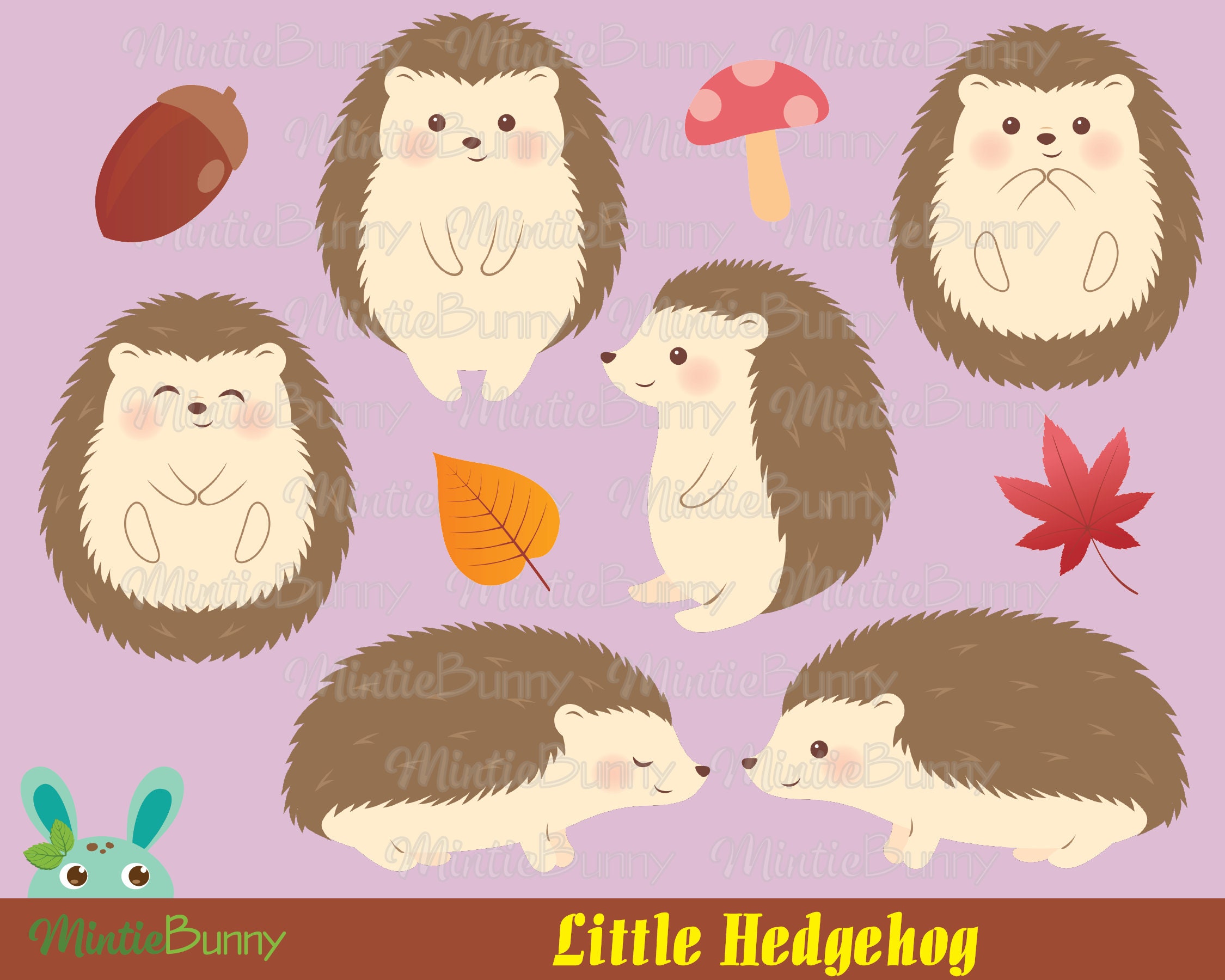 Cute Hedgehog Clipart
