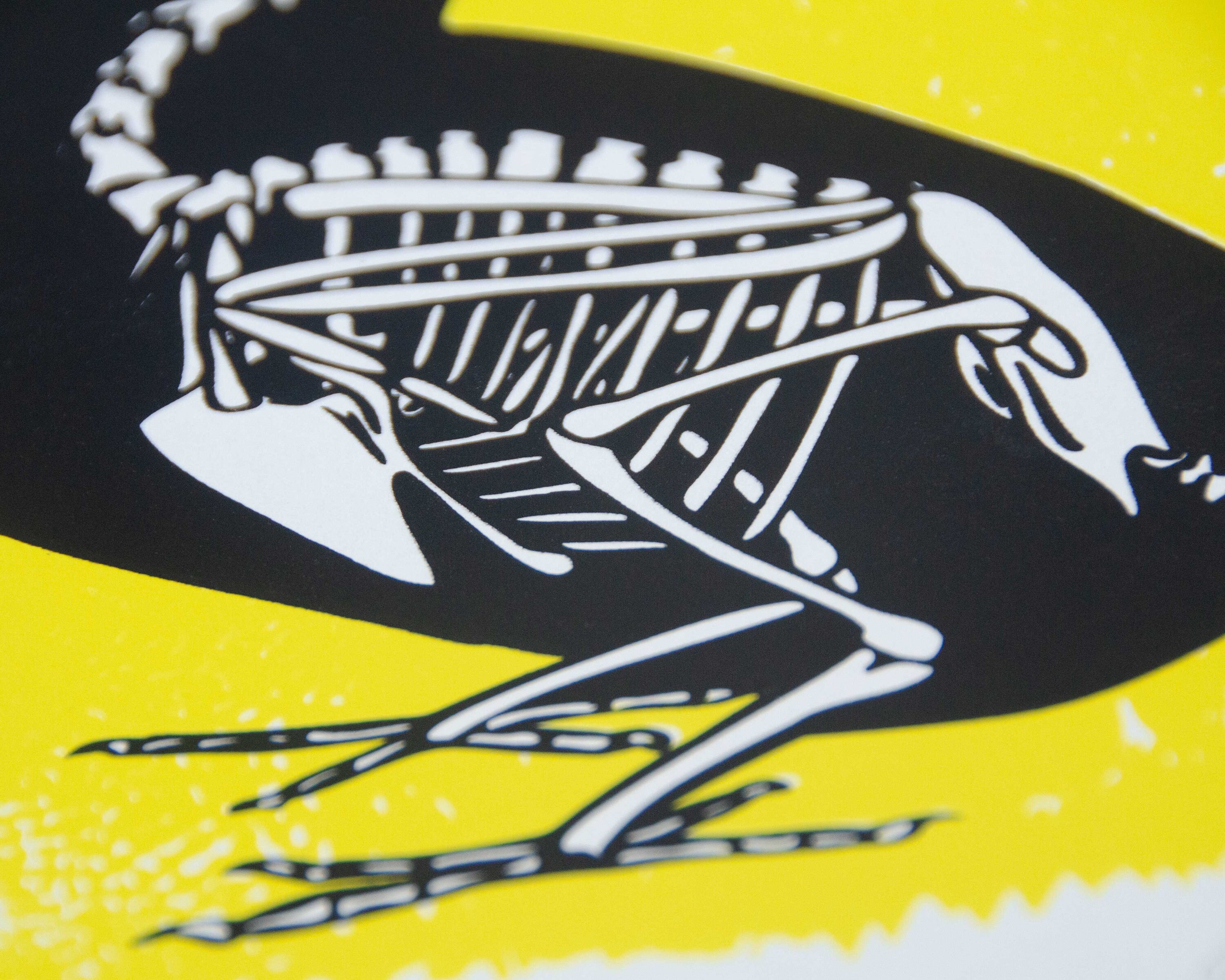 11x14 Yellow Toucan Skeleton Animal Bones Silk Screen Wall Decor - Etsy