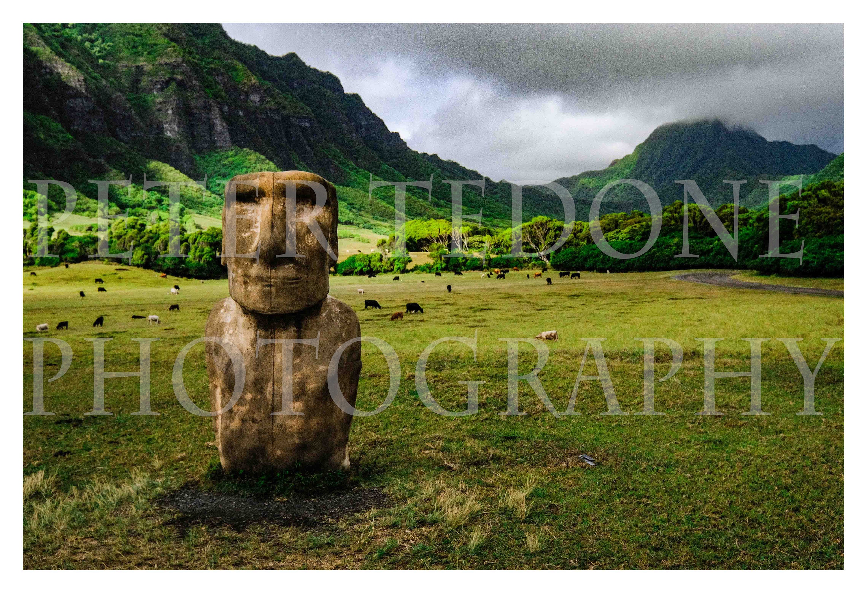 Moai at Kualoa Ranch O'ahu Island Hawaii Landscape 13x19 - Etsy