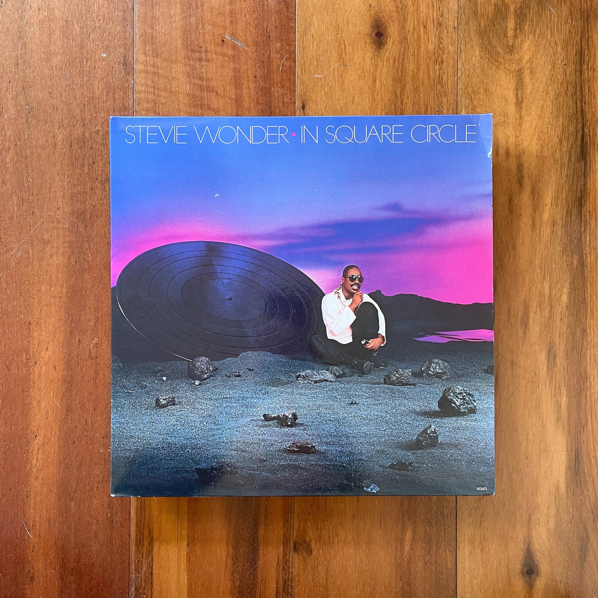 Stevie Wonder In Square Circle