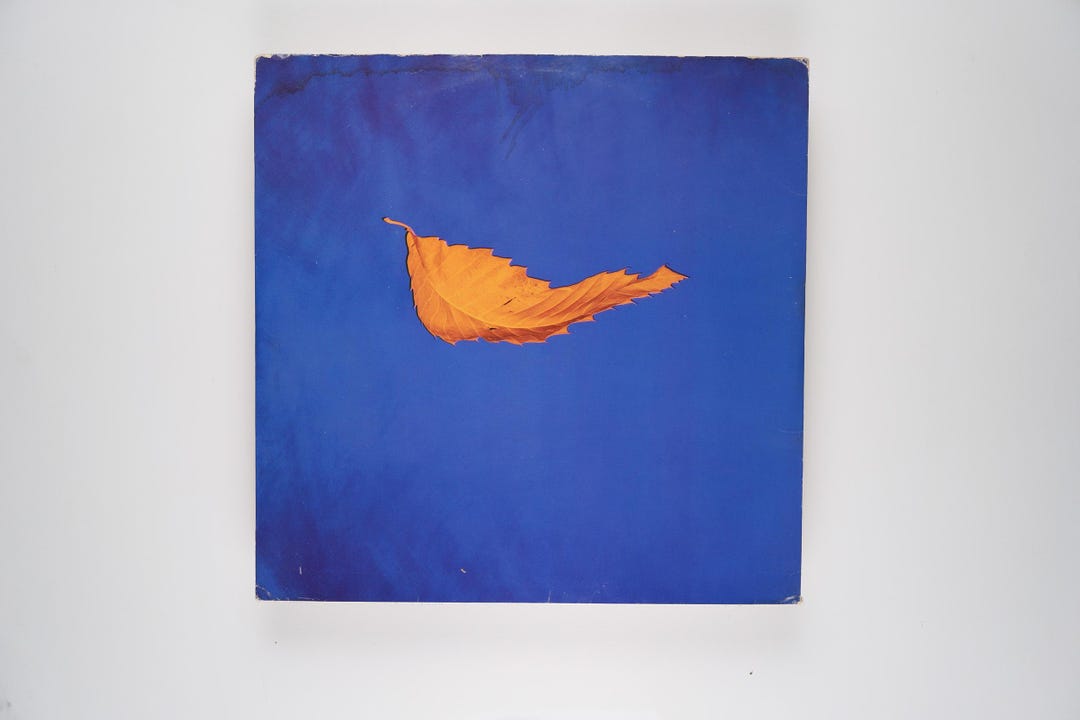 New Order - True Faith / 1963 - Vinyl LP Record - 1967 - Etsy