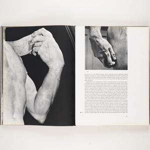 Michelangelo: the Complete Sculpture by Frederick Hartt 1968 Revised ...