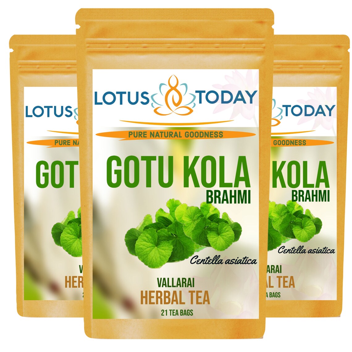 Herbal Tea Gotu Kola Tea Herbal Tea for Focus - Brain Nutrition Green ...