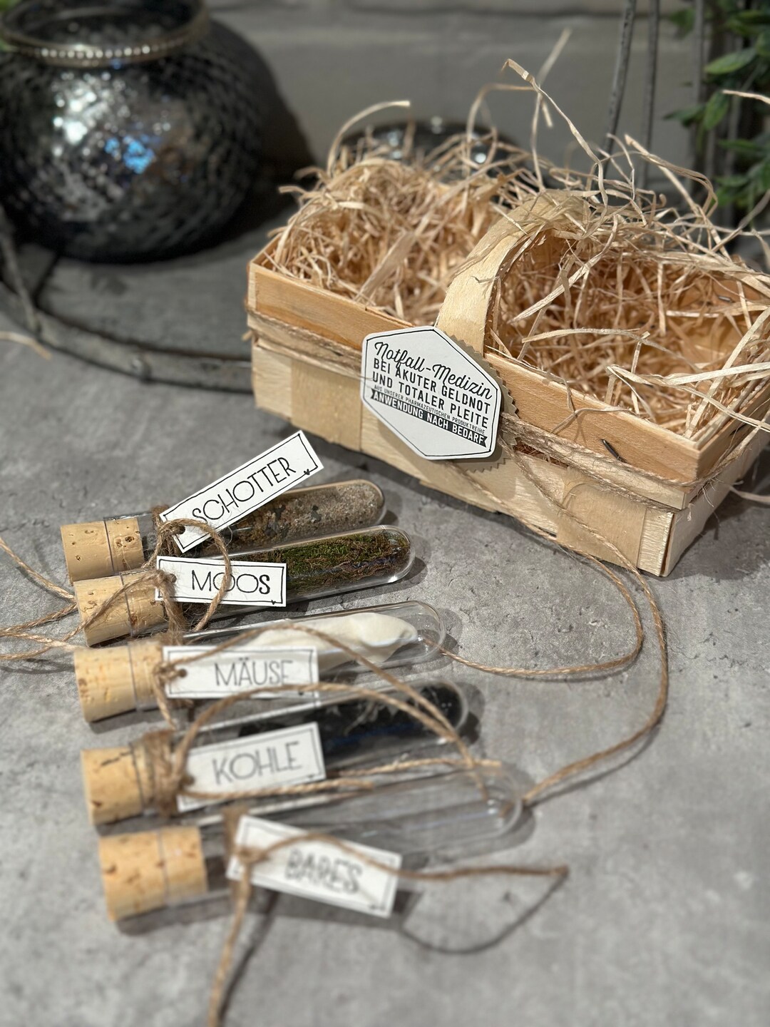 Money Gift Moss Coal Mice Gravel Men Women Gift - Etsy