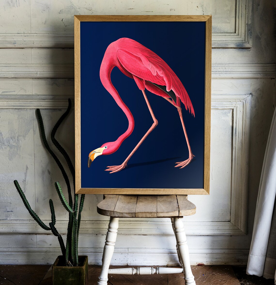Vintage Flamingo Print, Retro Illustration, Eclectic Navy Pink, Mid ...
