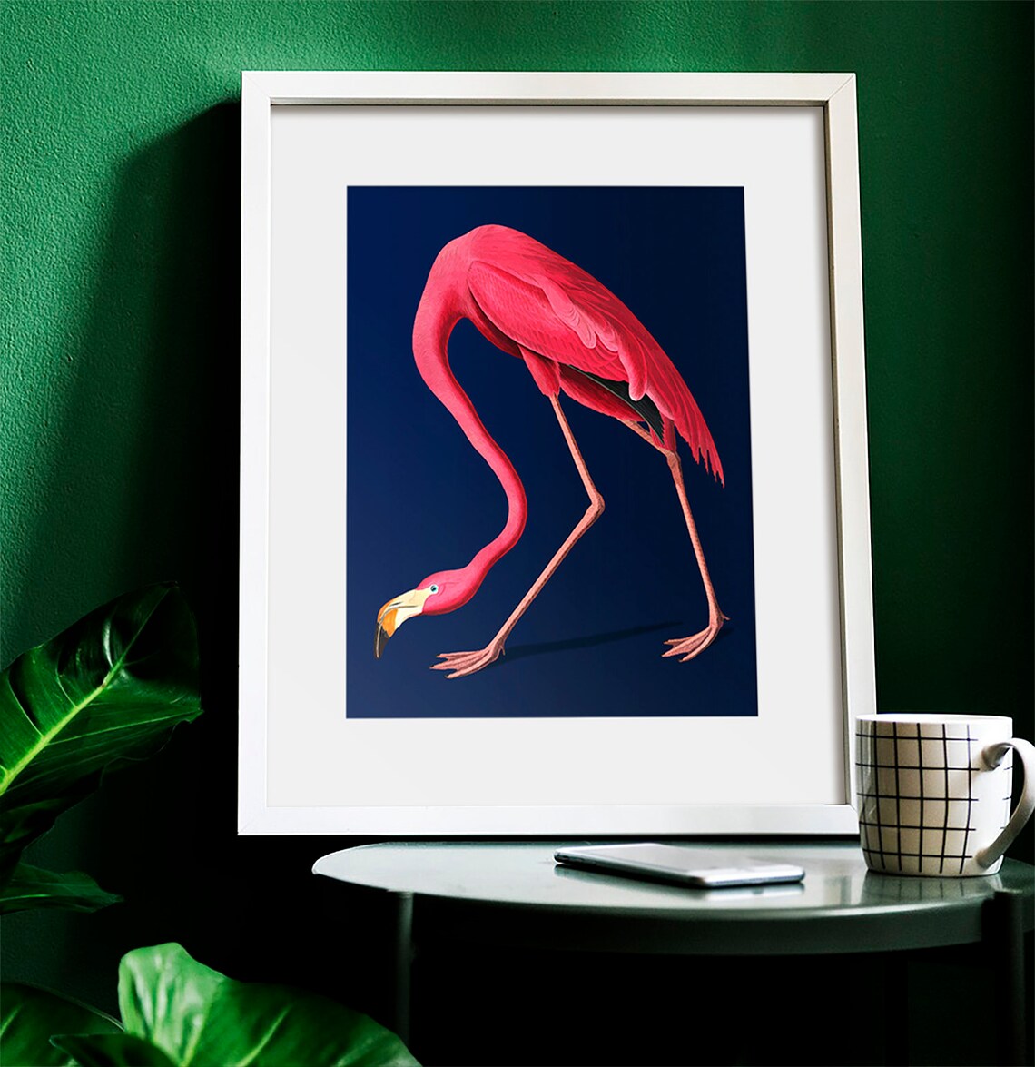 Vintage Flamingo Print, Retro Illustration, Eclectic Navy Pink, Mid ...