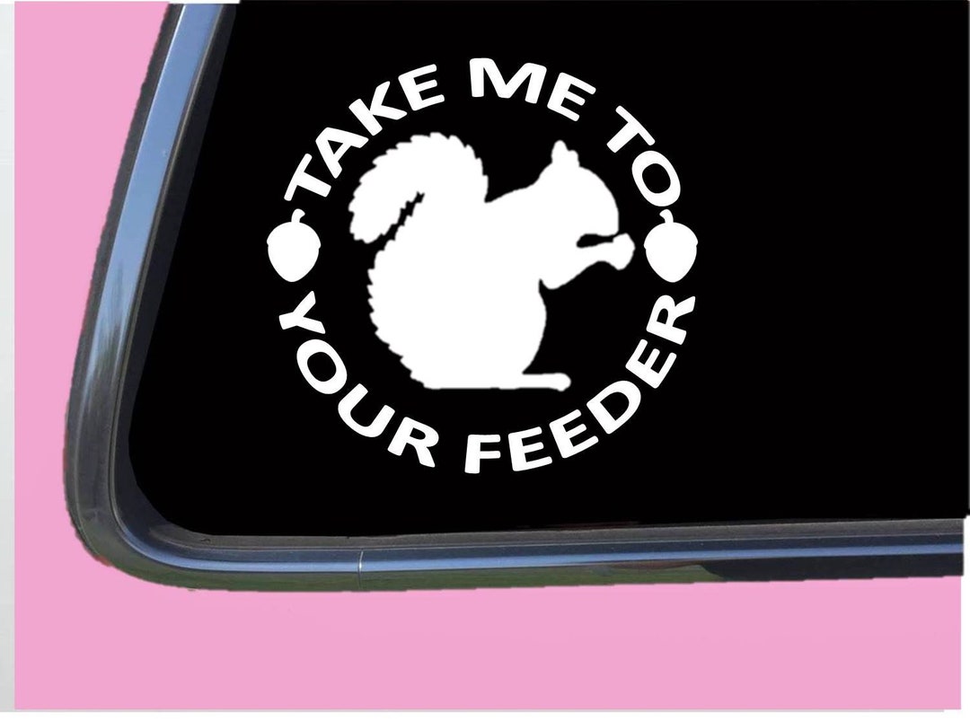Squirrel Feeder Sticker TP 1154 Vinyl Decal Sticker Acorn Corn - Etsy