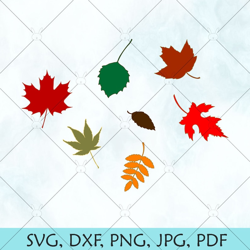 Feuille SVG / feuilles SVG / SVG automne / automne Svg / feuille ...