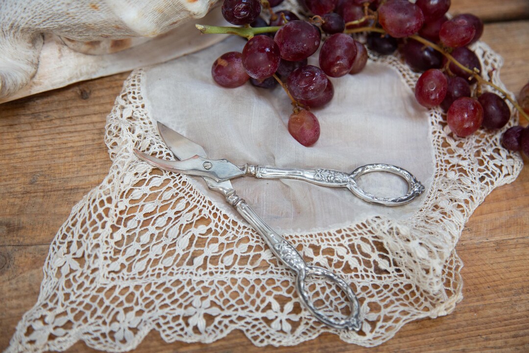 Victorian Edwardian Grape Scissors. Silver Plate on Copper. Art Nouveau ...