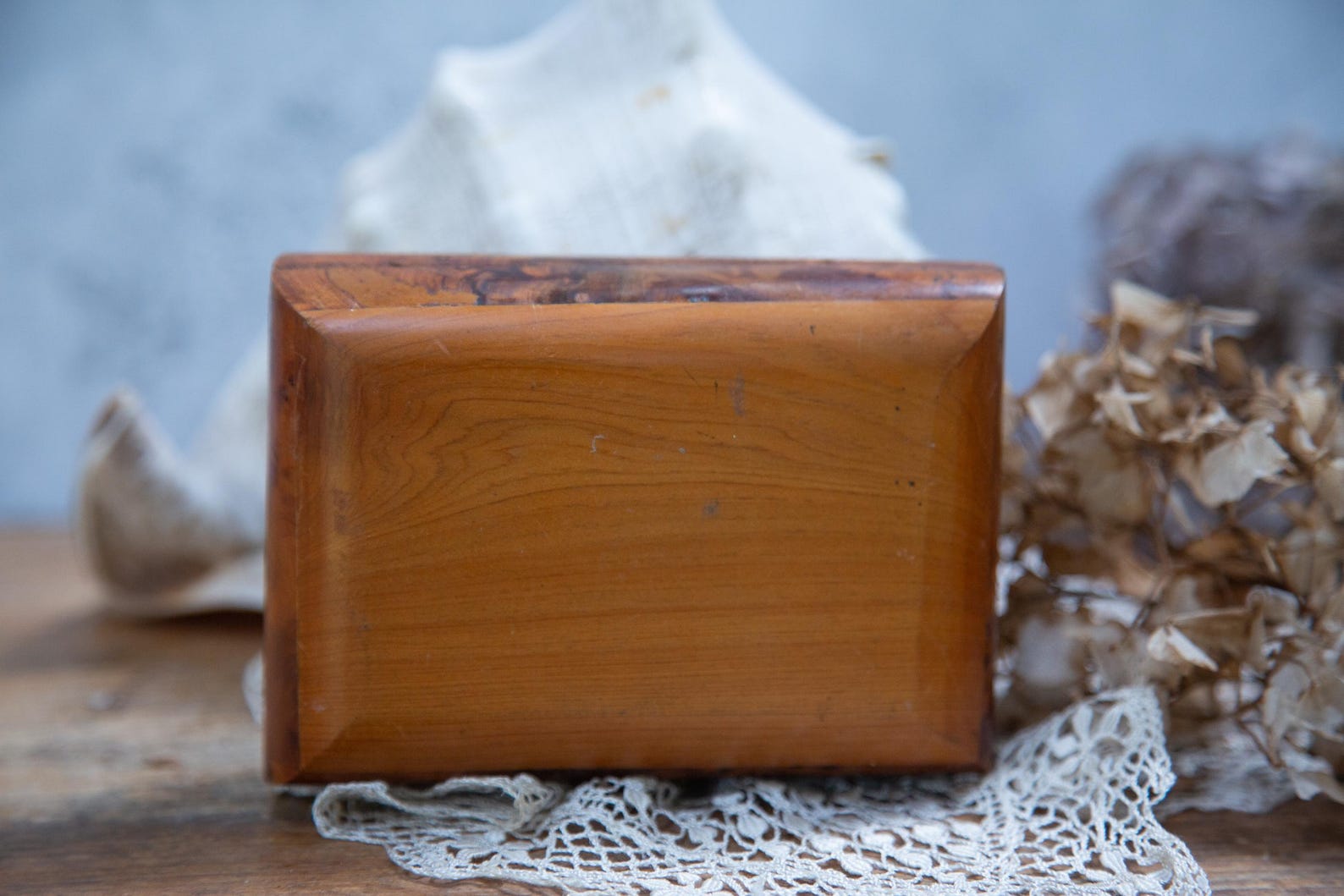 Tortoiseshell Wood Box. Thuya Burl Burr Veneer. Brown Orange. Jewellery ...