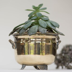 Brass Planter Pot. Jardiniere. Indoor Plant Holder. Patinated Vase ...