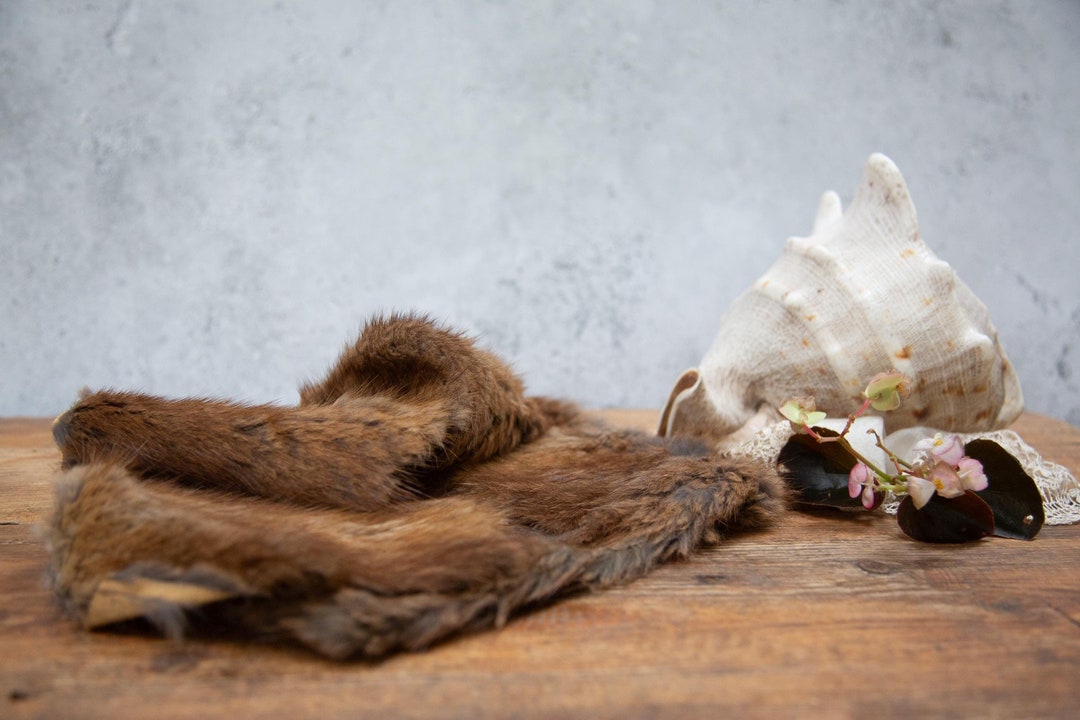Vintage Fox Fur. Craft Project. Soft Animal Pelt. Swatch. Orange Brown ...