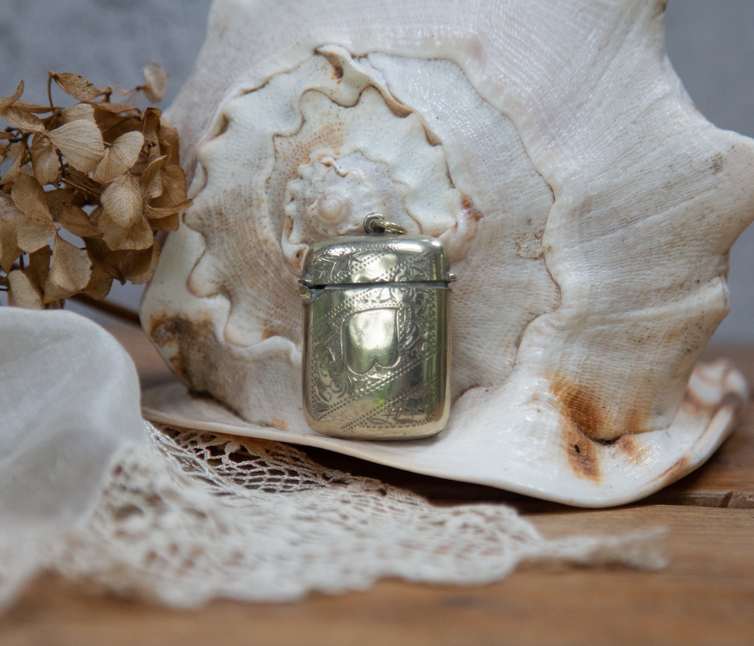 Victorian Silver Plate Vesta Case: Foliate Engraved Matchbox, Fob Chain ...