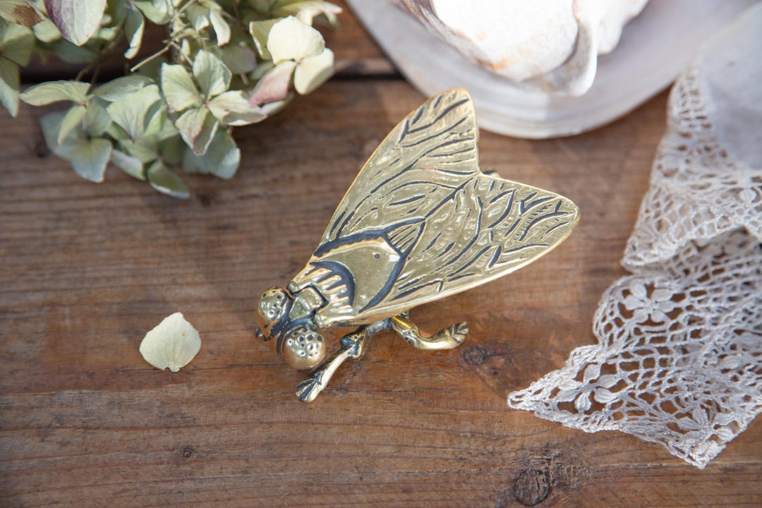 Solid Brass Model Fly. Movable Wings. Small Storage. Ring Dish ...