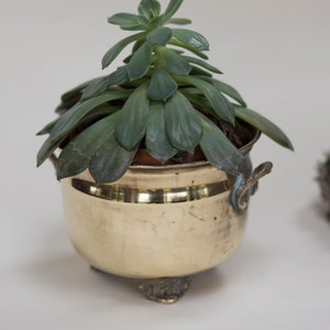 Brass Planter Pot. Jardiniere. Indoor Plant Holder. Patinated Vase ...
