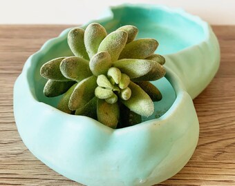 Shallow planter | Etsy