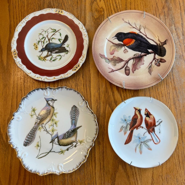 Bird Plates - Etsy