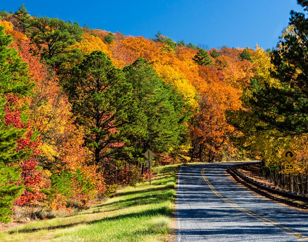 Arkansas Fall Foliage - Etsy