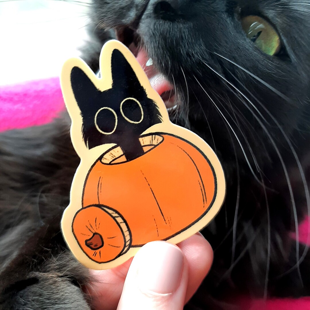 Pumpkin Cat Sticker, Scaredy Cat Sticker, Halloween Cat Sticker, Witchy ...