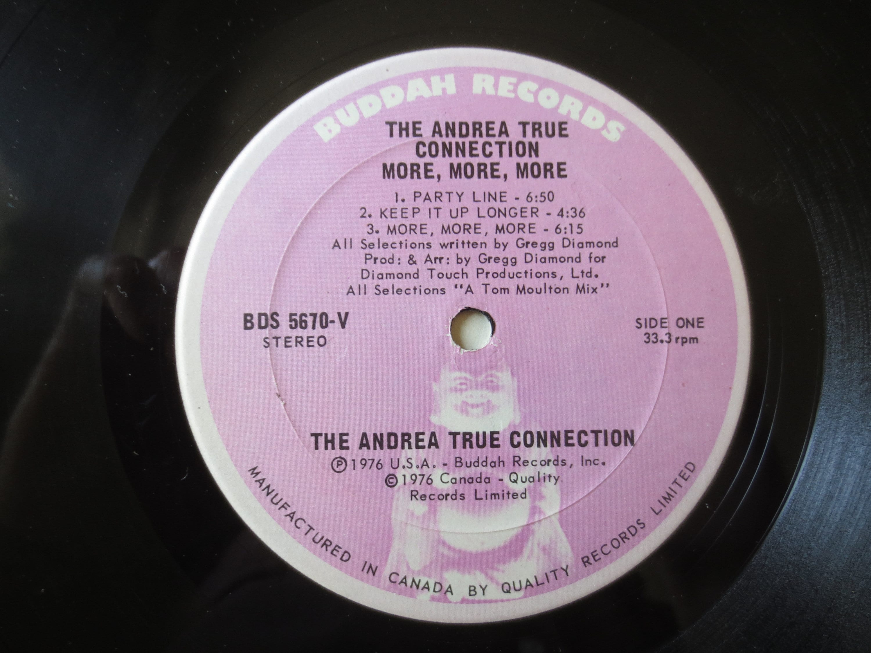 Vintage Records the ANDREA TRUE CONNECTION More More More - Etsy