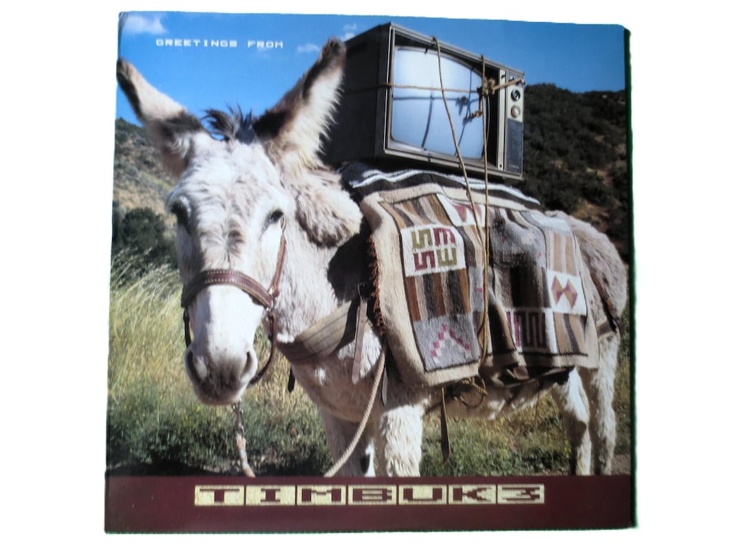TIMBUK 3, "greetings From", 1986 Record, Vintage Rock Album - Etsy