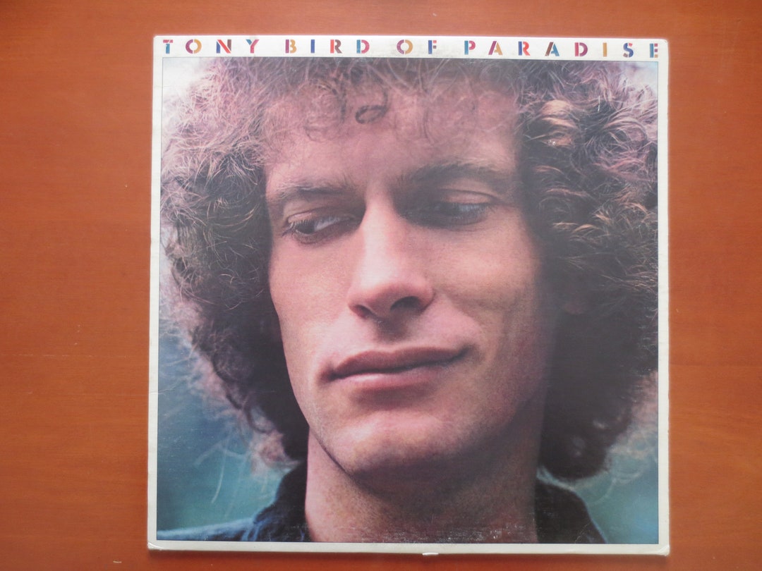 Vintage Records, TONY BIRD, Bird of PARADISE, Vintage Vinyl, Record ...