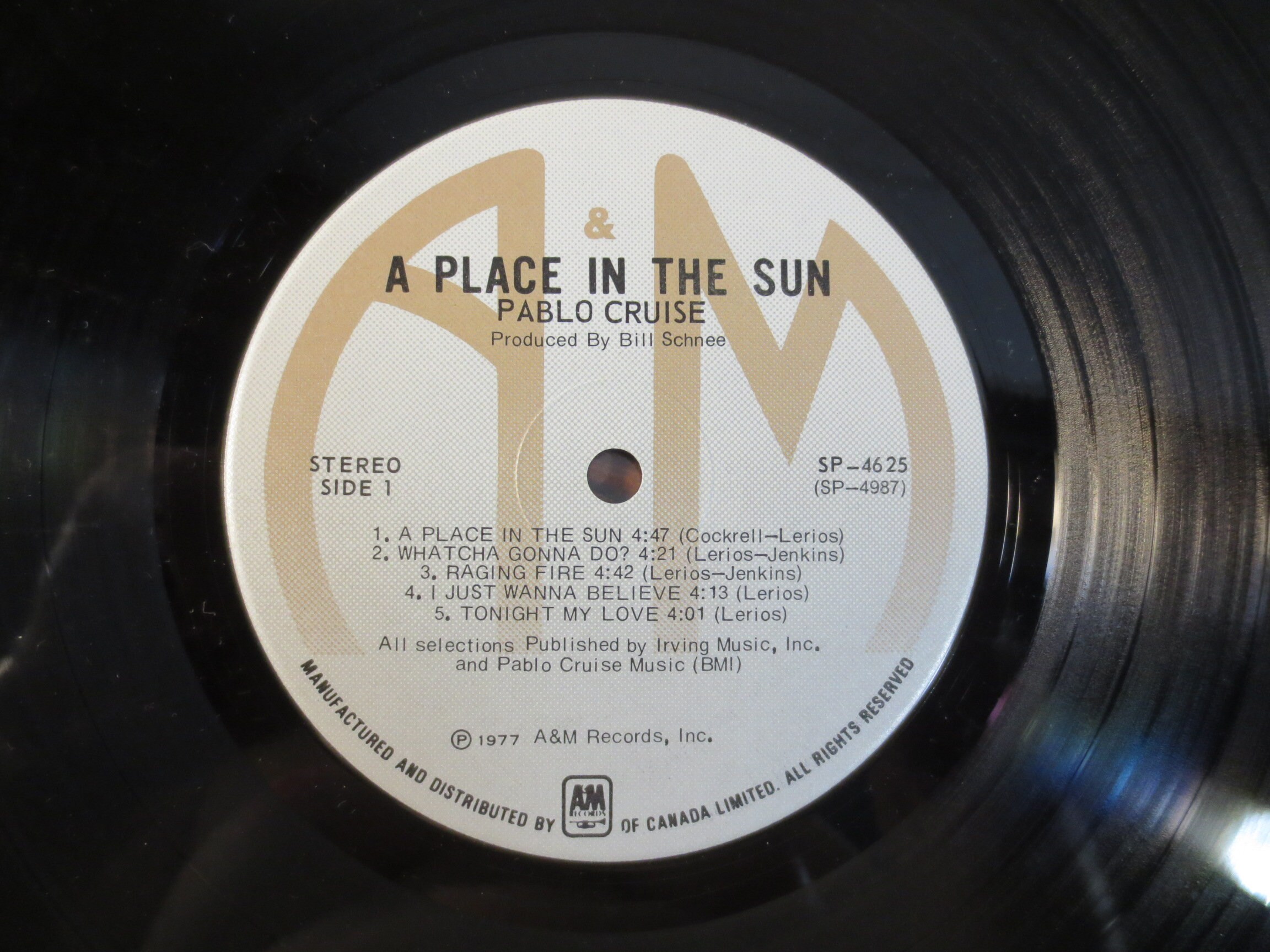 Vintage Records PABLO CRUISE Record A Place in the SUN - Etsy